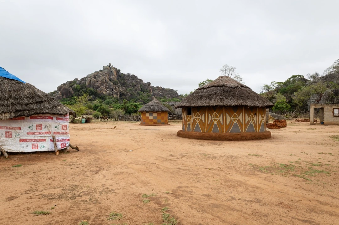 Hamara | Empowering African Farmers & Businesses